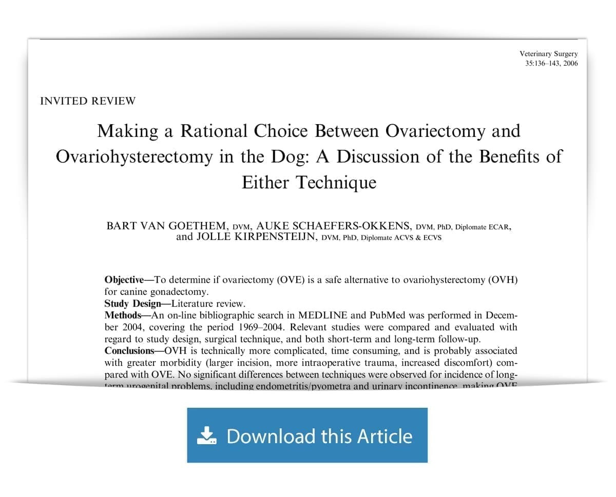 Dog Ovariectomy & Ovariohysterectomy Overview | VetOvation
