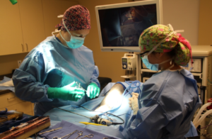 Improve Laparoscopic Gastropexy Surgeries with VetOvation