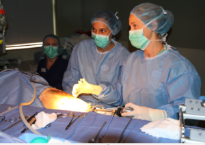 Laparoscopic Splenectomy Archives - VetOvation