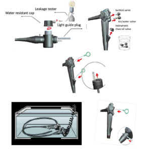 Simple Gastroscope Guide for Veterinarians | VetOvation