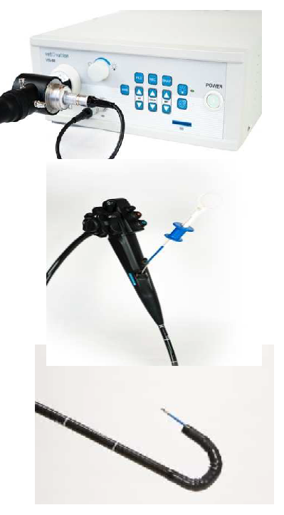 Simple Gastroscope Guide for Veterinarians | VetOvation