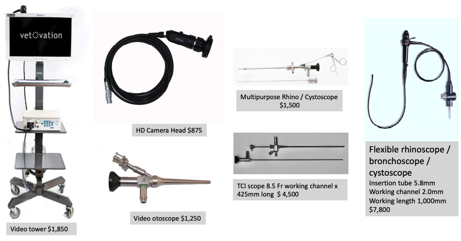 Simple Gastroscope Guide for Veterinarians | VetOvation