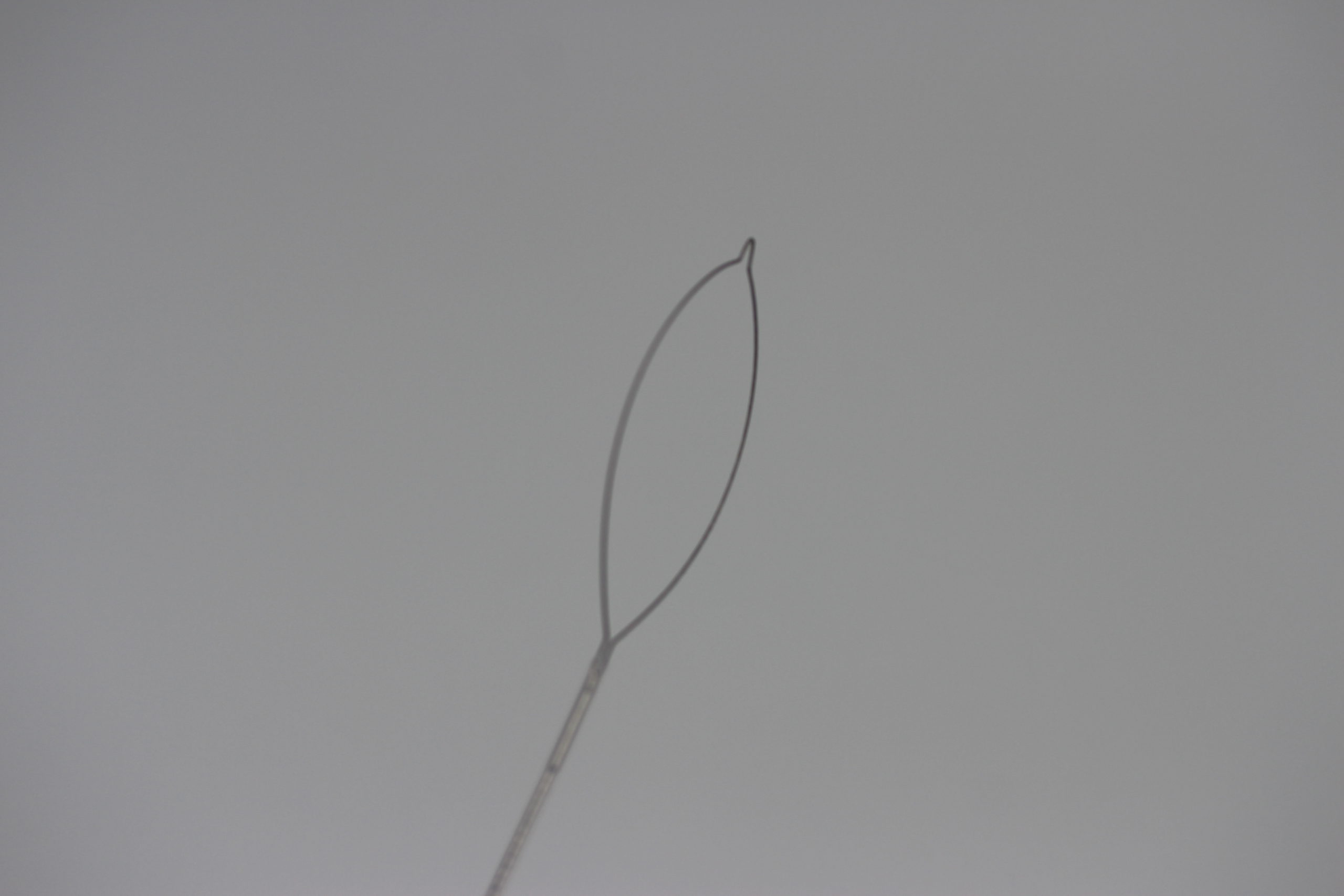 Oval Snare for Endoscope |1.8mm | Veterinary Instruments | VetOvation