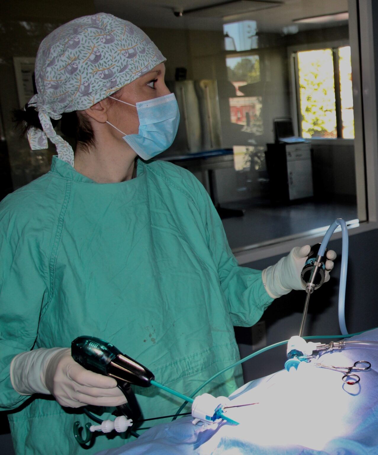 The Benefits of Veterinary Laparoscopic & Endoscopic Equipment