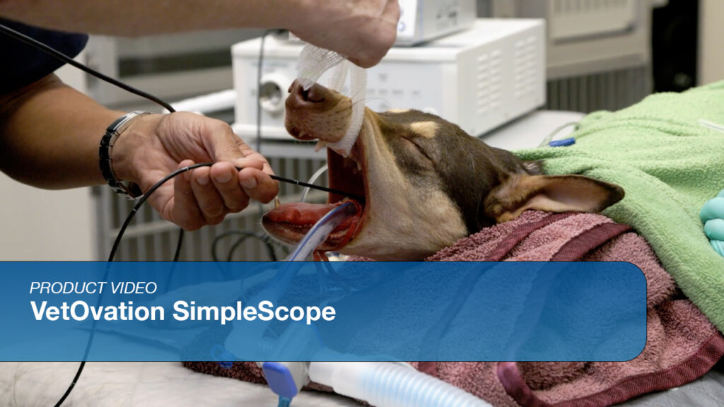 Veterinary Training Videos and Resources | VetOvation