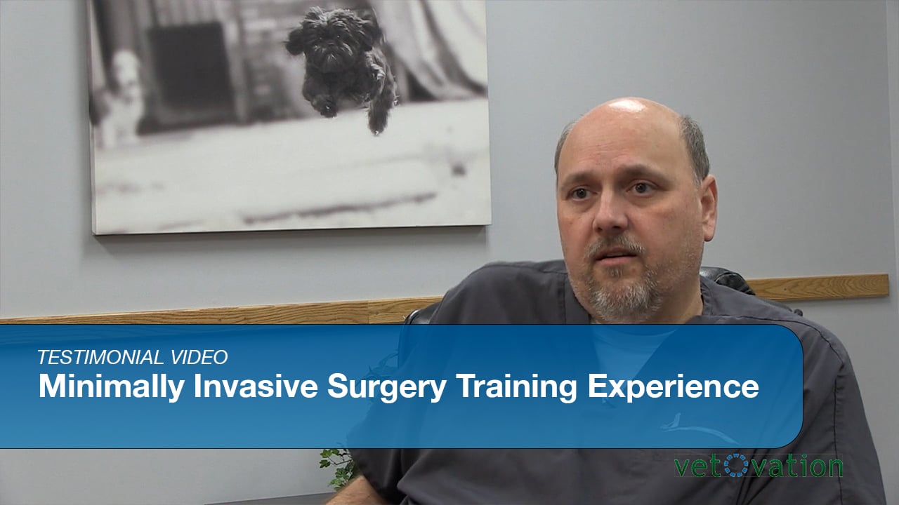 Shane Whitaker, DVM - Minimally Invasive Surgery Training Experience ...