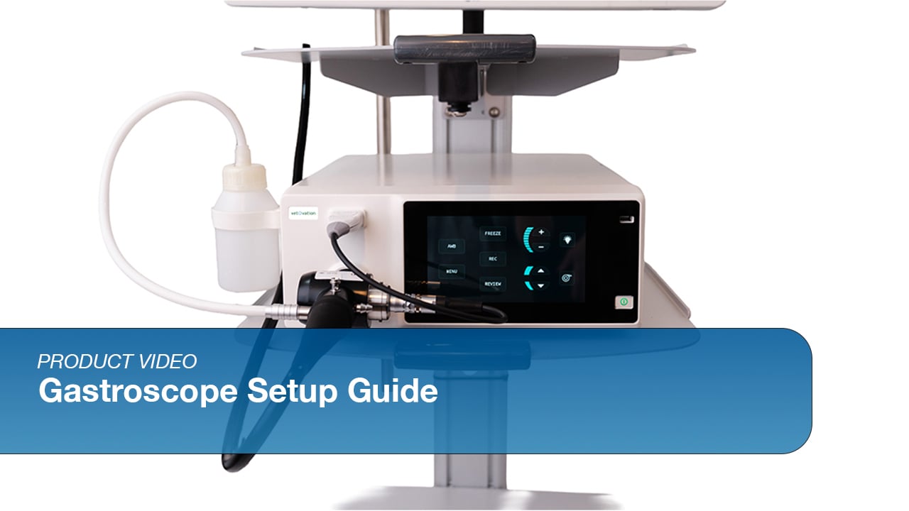 New Gastroscope Setup Guide - VetOvation